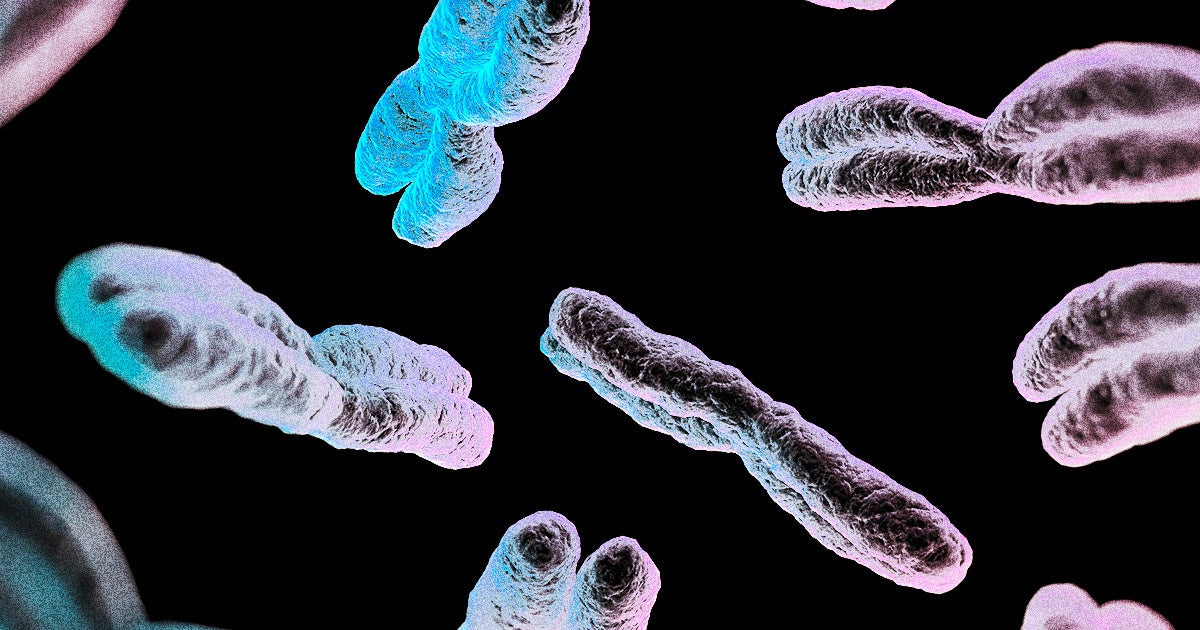 The Male Y Chromosome Has Finally Been Completely Sequenced