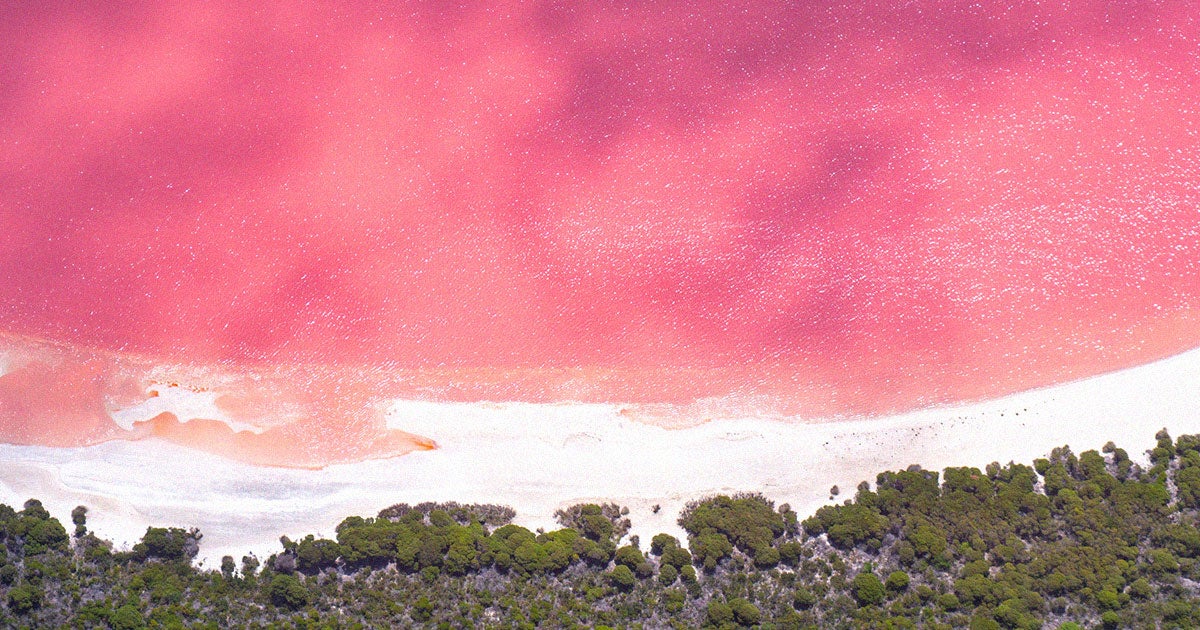 Residents Alarmed When Pond Turns Bright Pink