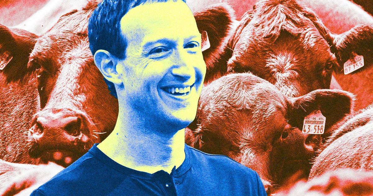 Zuckerberg Brags About Feeding Cows Macadamia Nuts And Beer At His